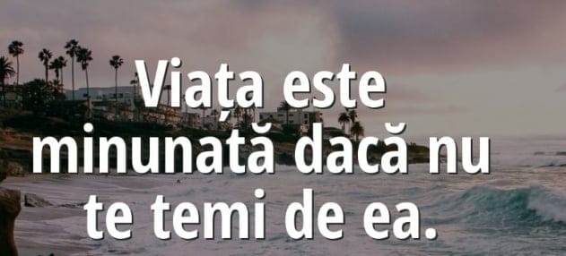 Viața Este Minunată – Machidon School